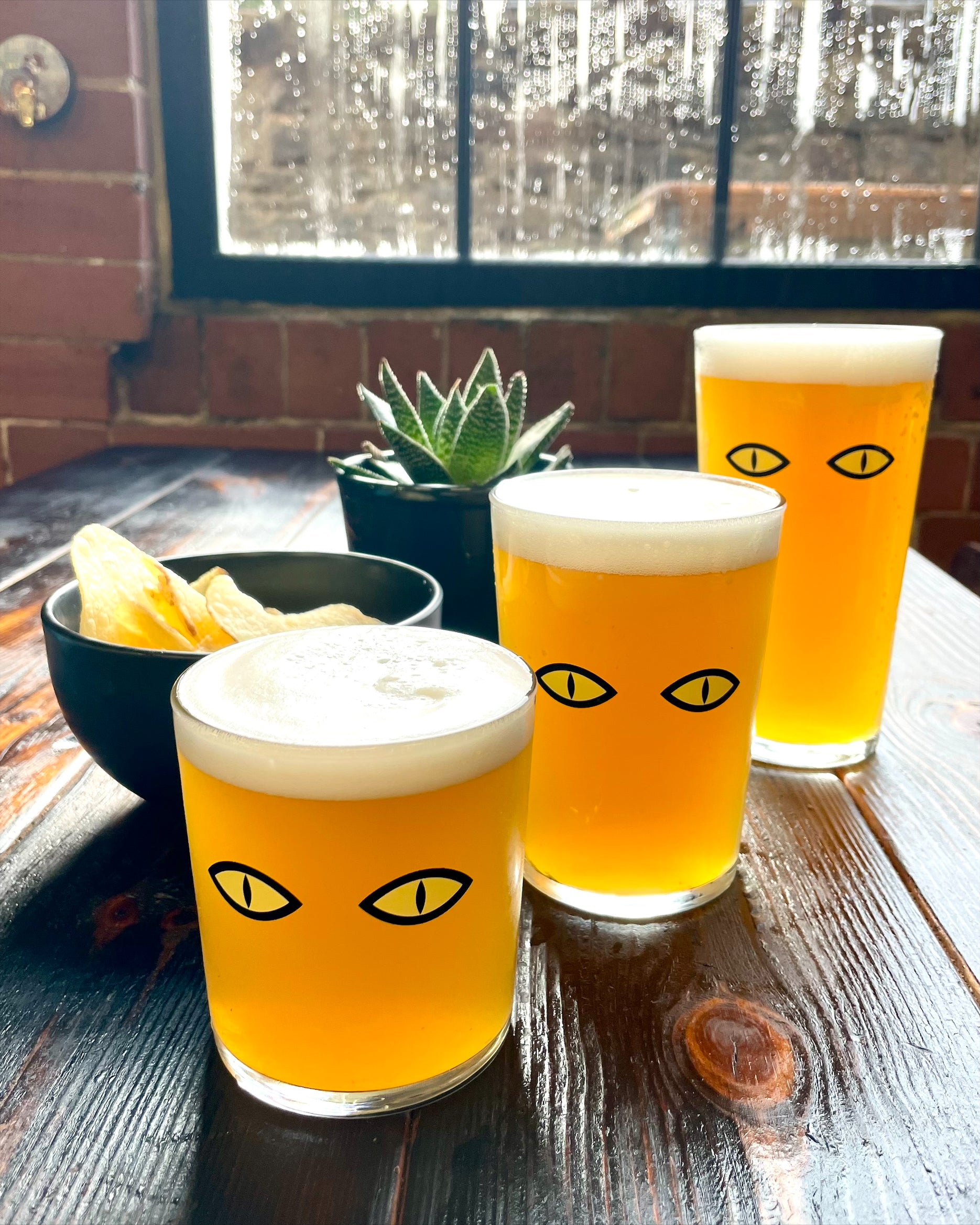 Bini Brew Co - Craft Beer Brewery in Ilkley