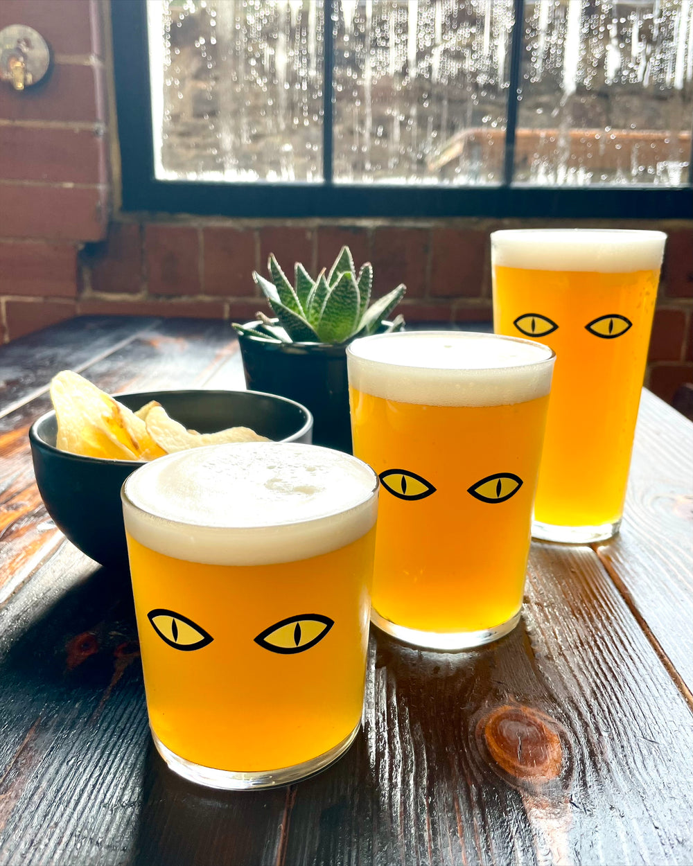 Bini Brew Co - Craft Beer Brewery in Ilkley